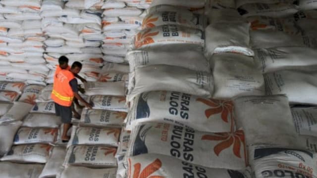 Perpadi: Bulog Tidak Perlu Impor, Awal Tahun 2023 Panen Padi Dimulai ...