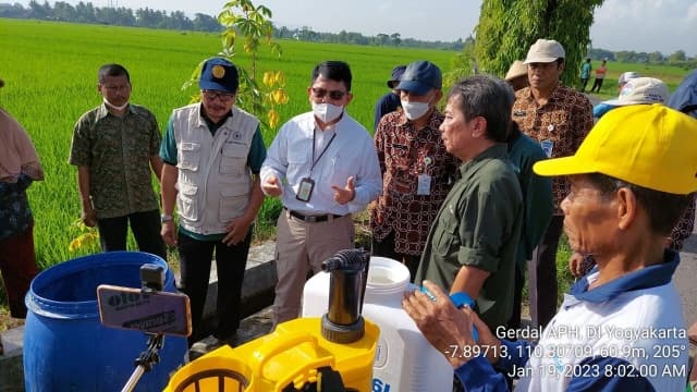 Pemanfaatan Agens Pengendali Hayati (APH) Dalam Gerakan Pengendalian ...