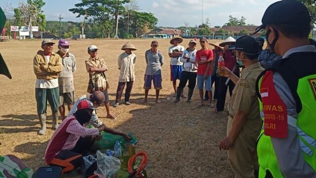 Kerjasama Pengendalian Hama Tikus Untuk Menjaga Ketahanan Pangan ...