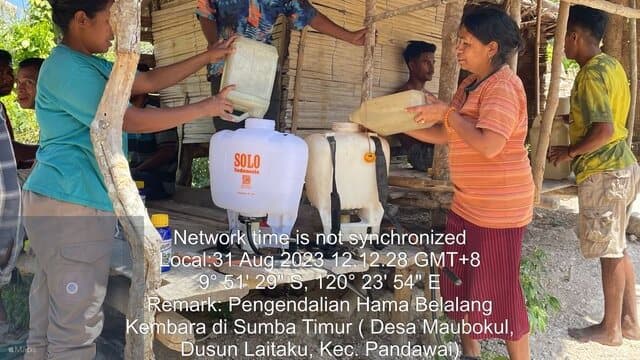 Sinergi Berbagai Pihak Dalam Mengatasi Hama Belalang Kembara Melalui ...